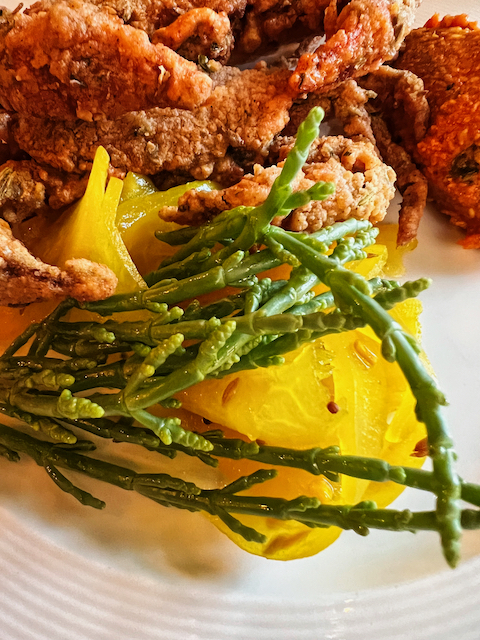 Swadish by Ajay Kumar (Glasgow) 2022 : Review – Kris Munro